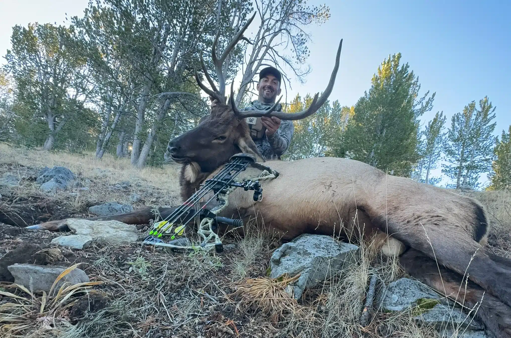 From Bull Elk to Bloodbath: How One Slip of a Knife Nearly Killed a ...